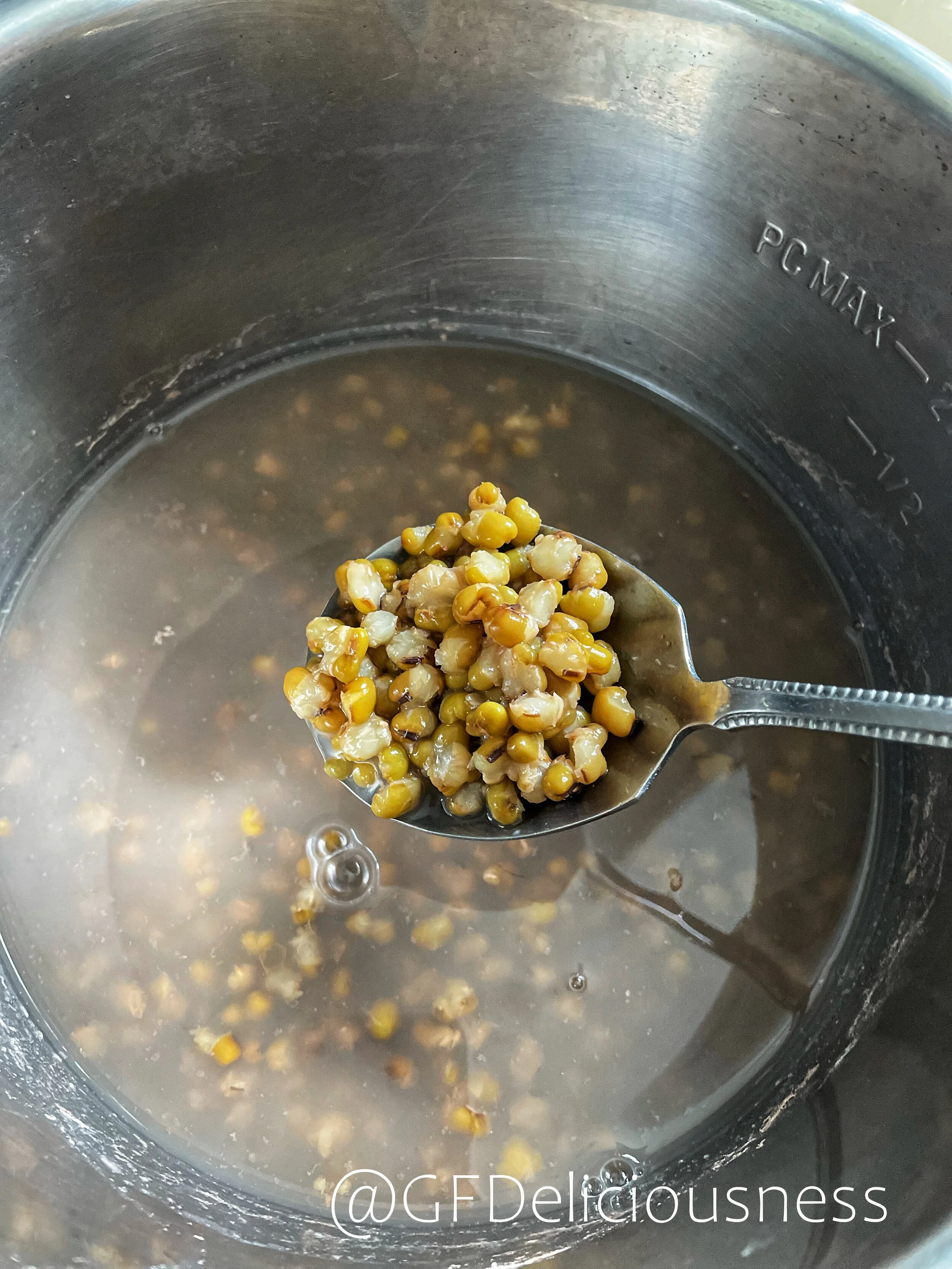 Instapot Tapioca/Sago Dessert with Mung Bean — GF Deliciousness
