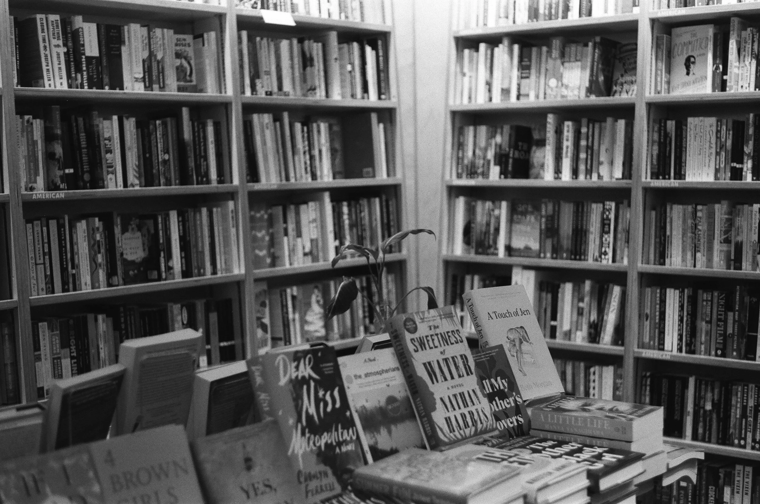 The Marvelous McNally Jackson — Unpublished