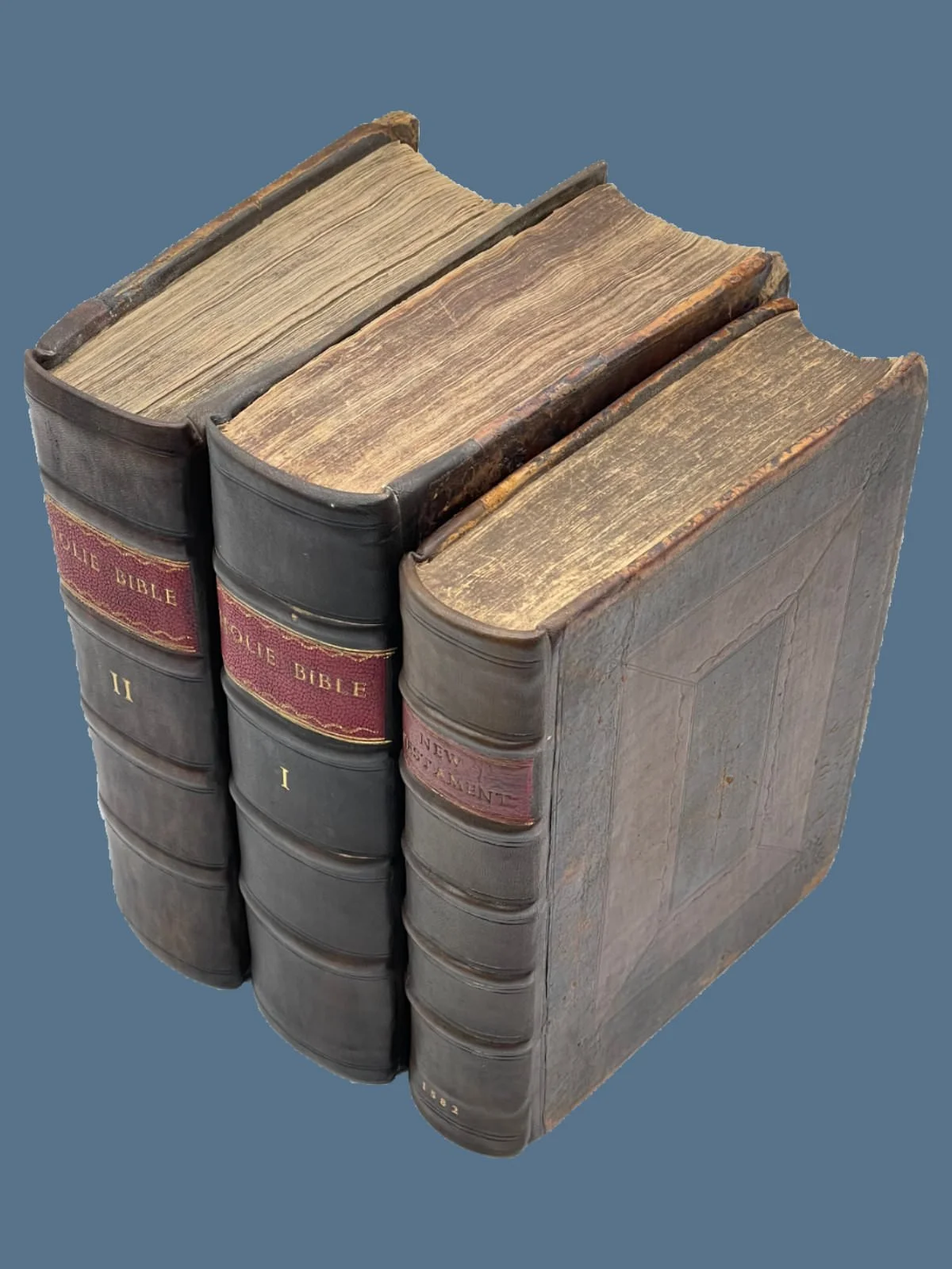 Roman Catholic Bible