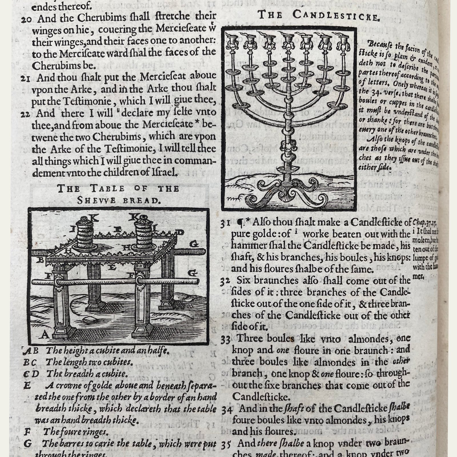 Geneva Bible — Antique Bible