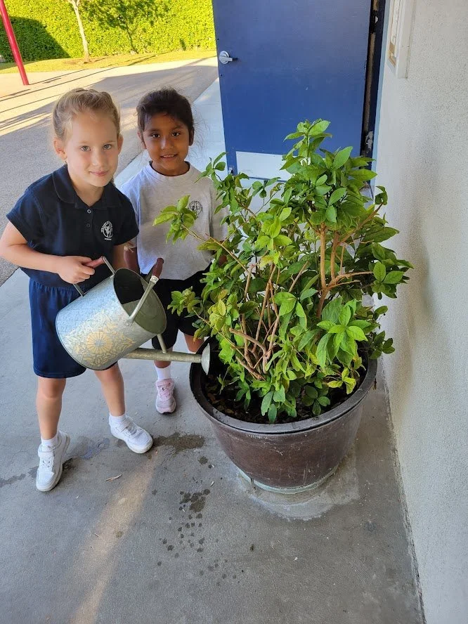 Our Lady of Perpetual Help School Riverside