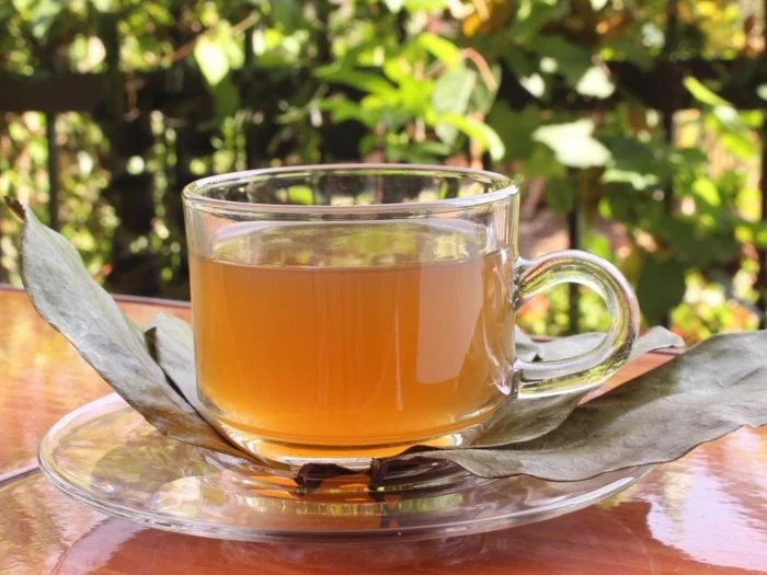 How to Make Soursop Tea — Villiers Valley