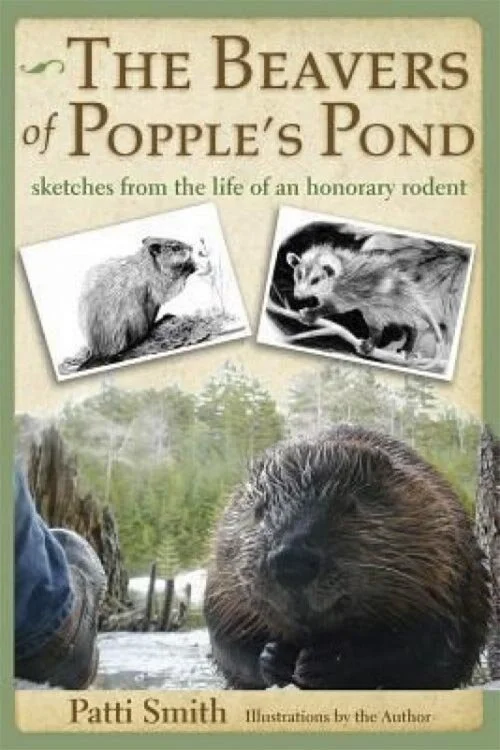 Beaver Research & Resources