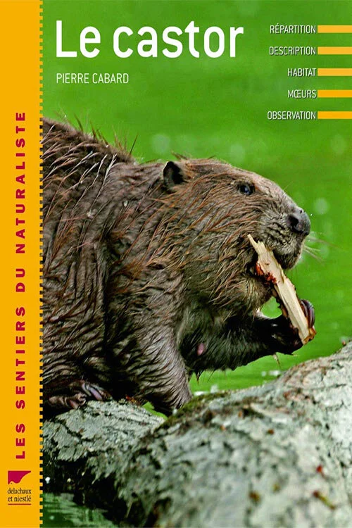 Beaver Research & Resources