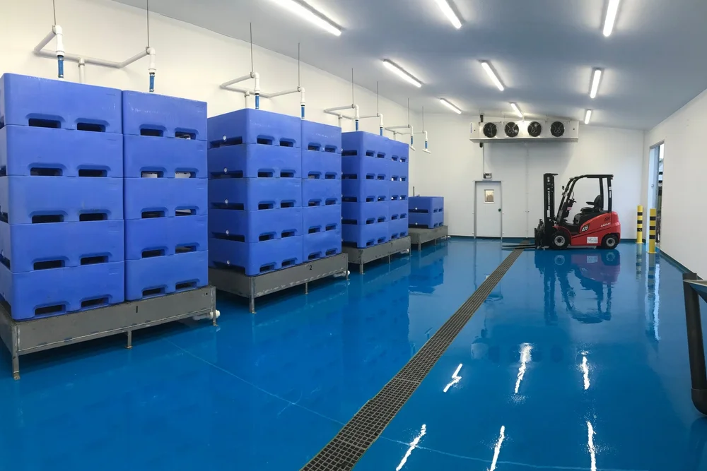 About — Porthilly Shellfish