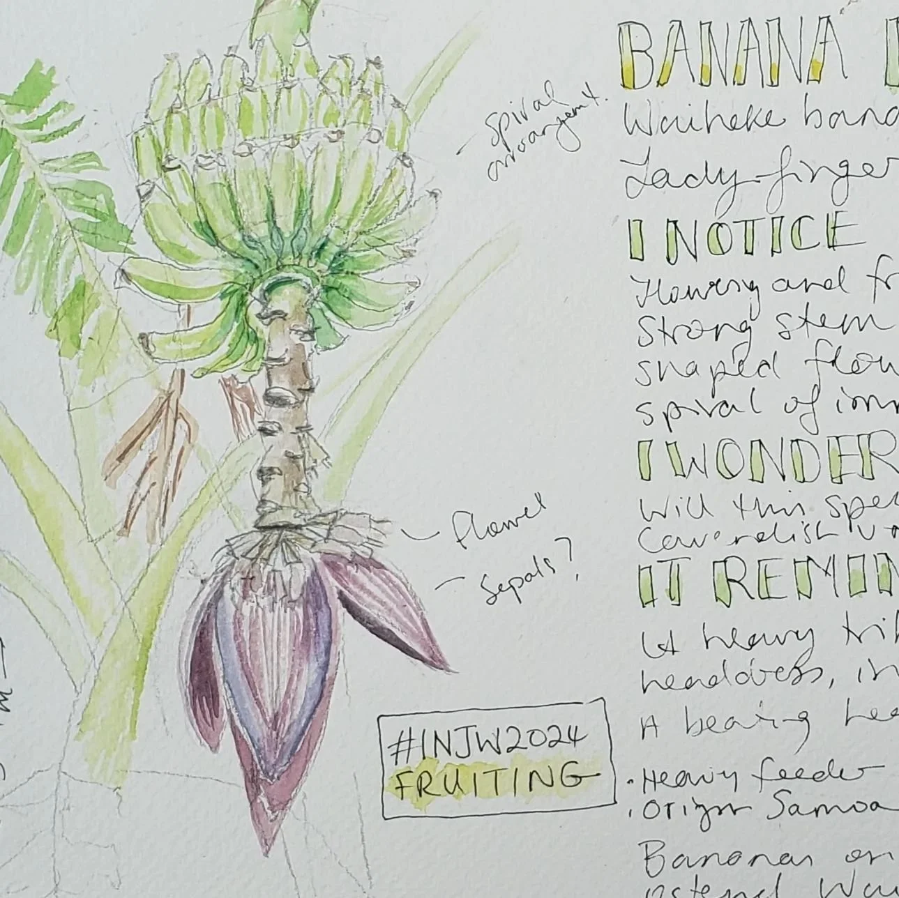 Jennifer Duval-Smith