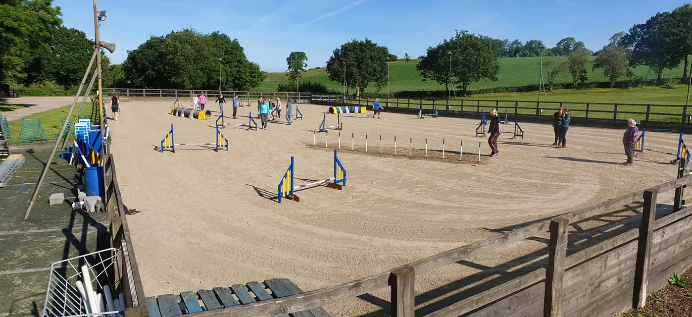 Agility — Active Dog Services