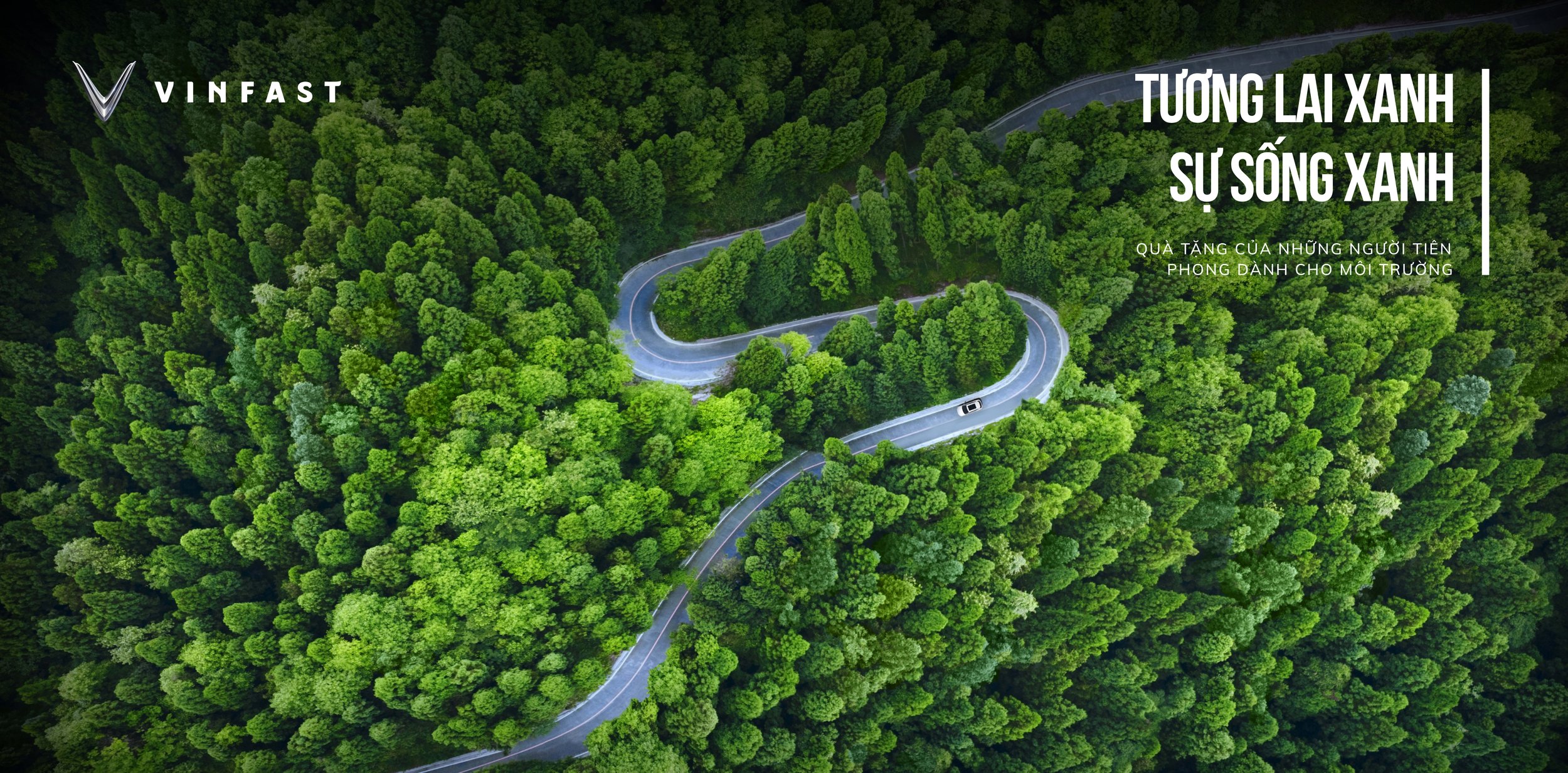 VinFast - Key Visual 20,000 Cây Xanh — New Now Company