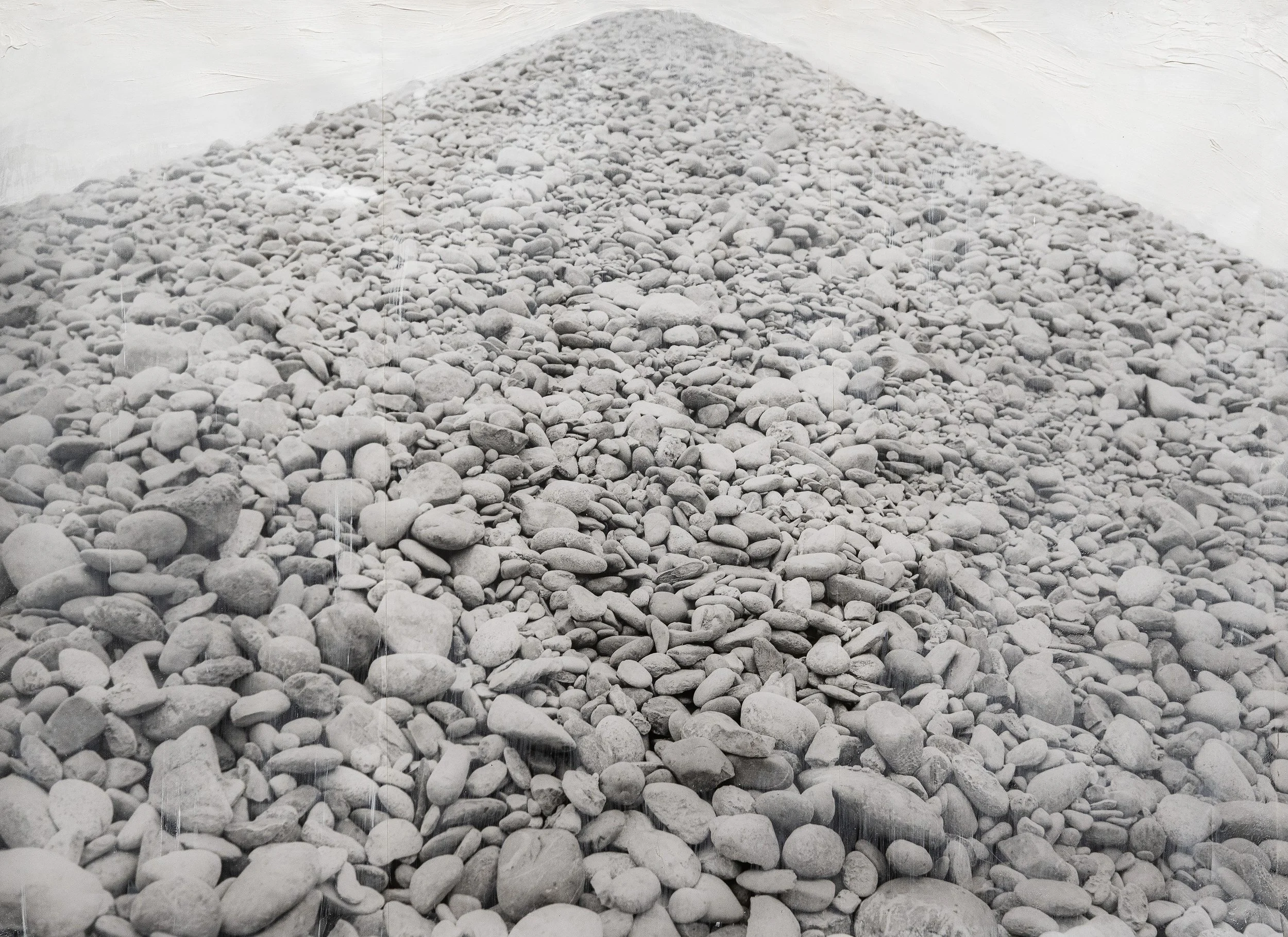 Marc Ávila Català | Floresta III