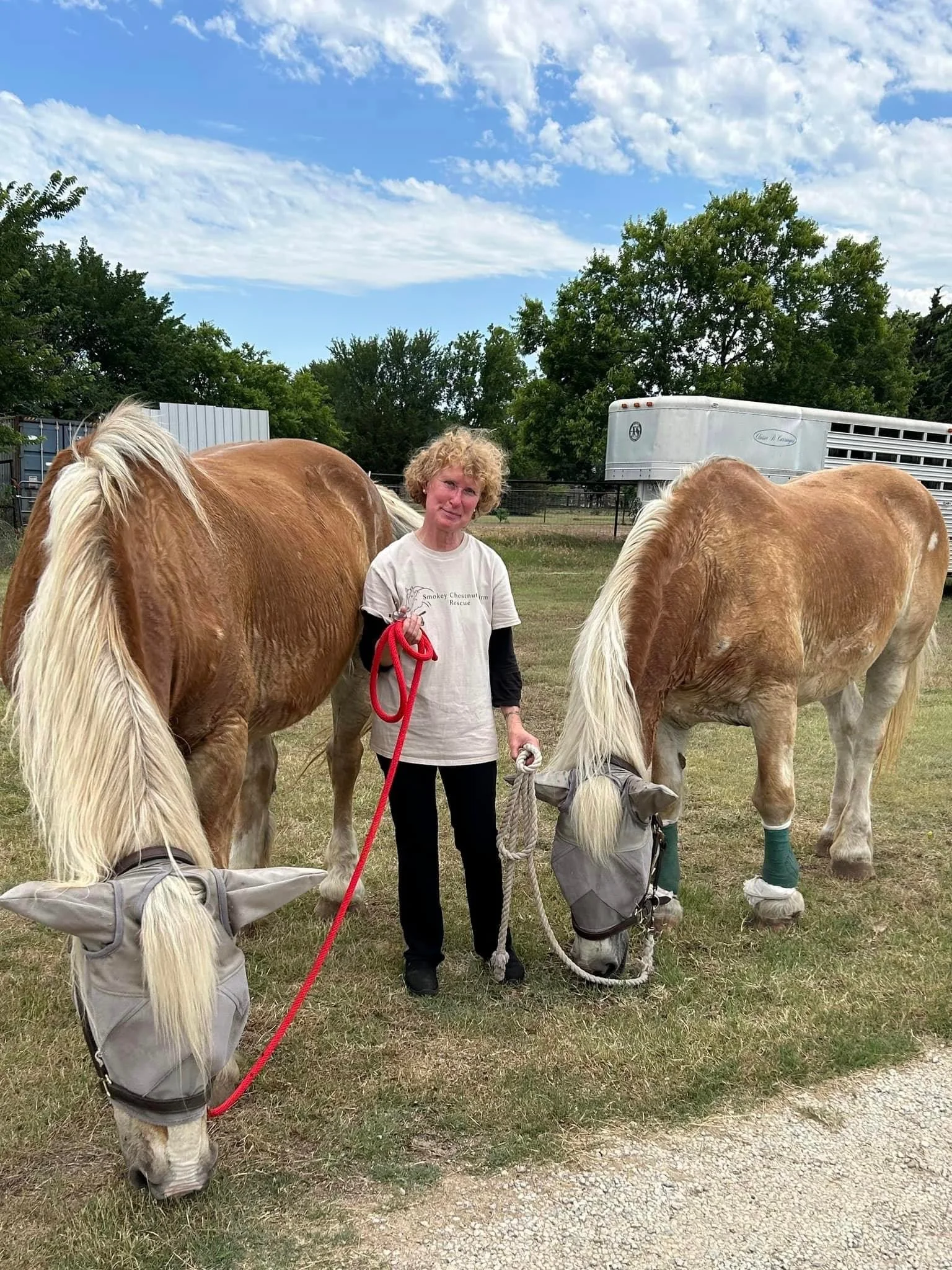 Smokey Chestnut Farm Rescue
