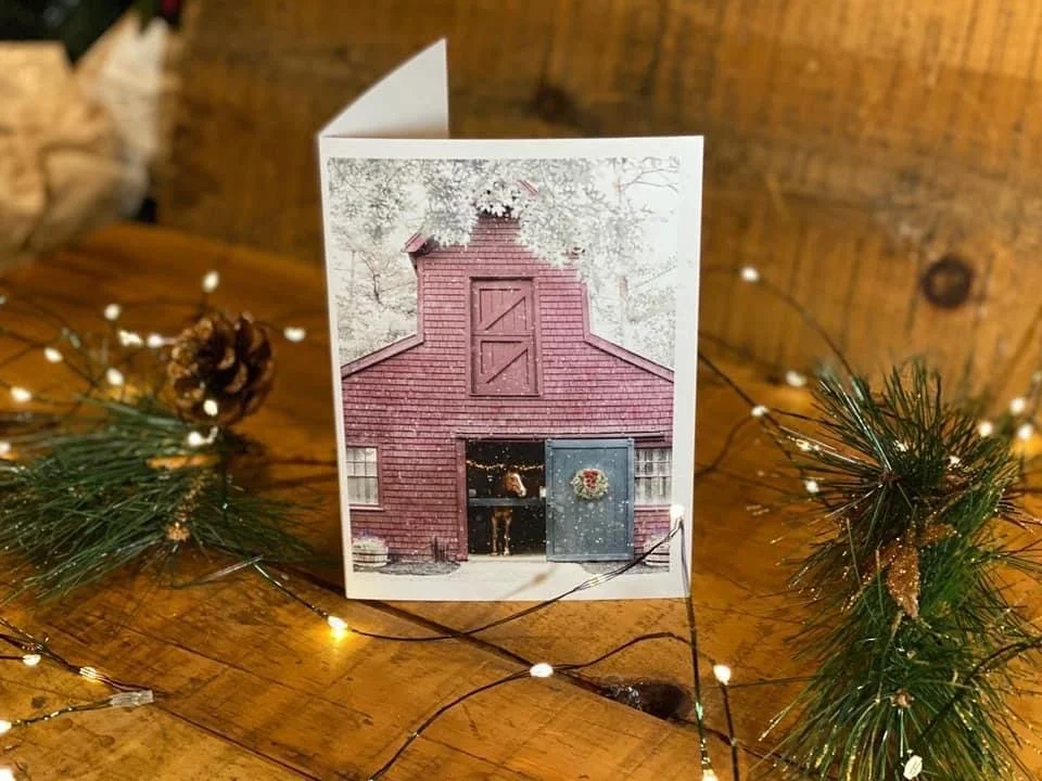 Smokey Chestnut Farm Rescue