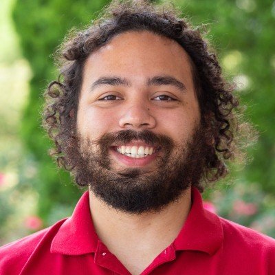 Our Strategists — Black Lion Strategies