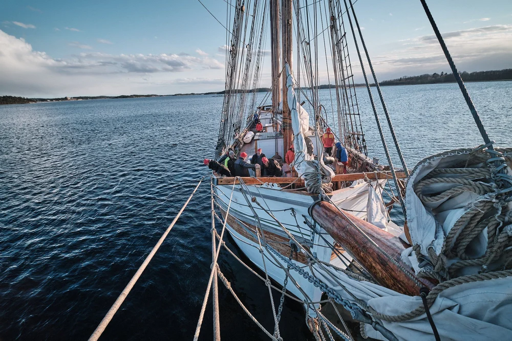 Vega | SAILCARGO INC.