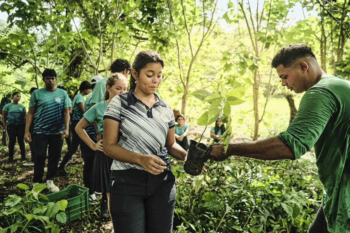 SAILCARGO INC. — A Zero Emission Shipping Company