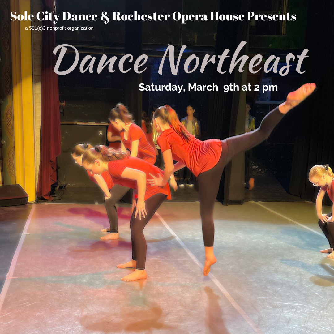 Shop — Sole City Dance