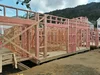 About Timber — NZTIF