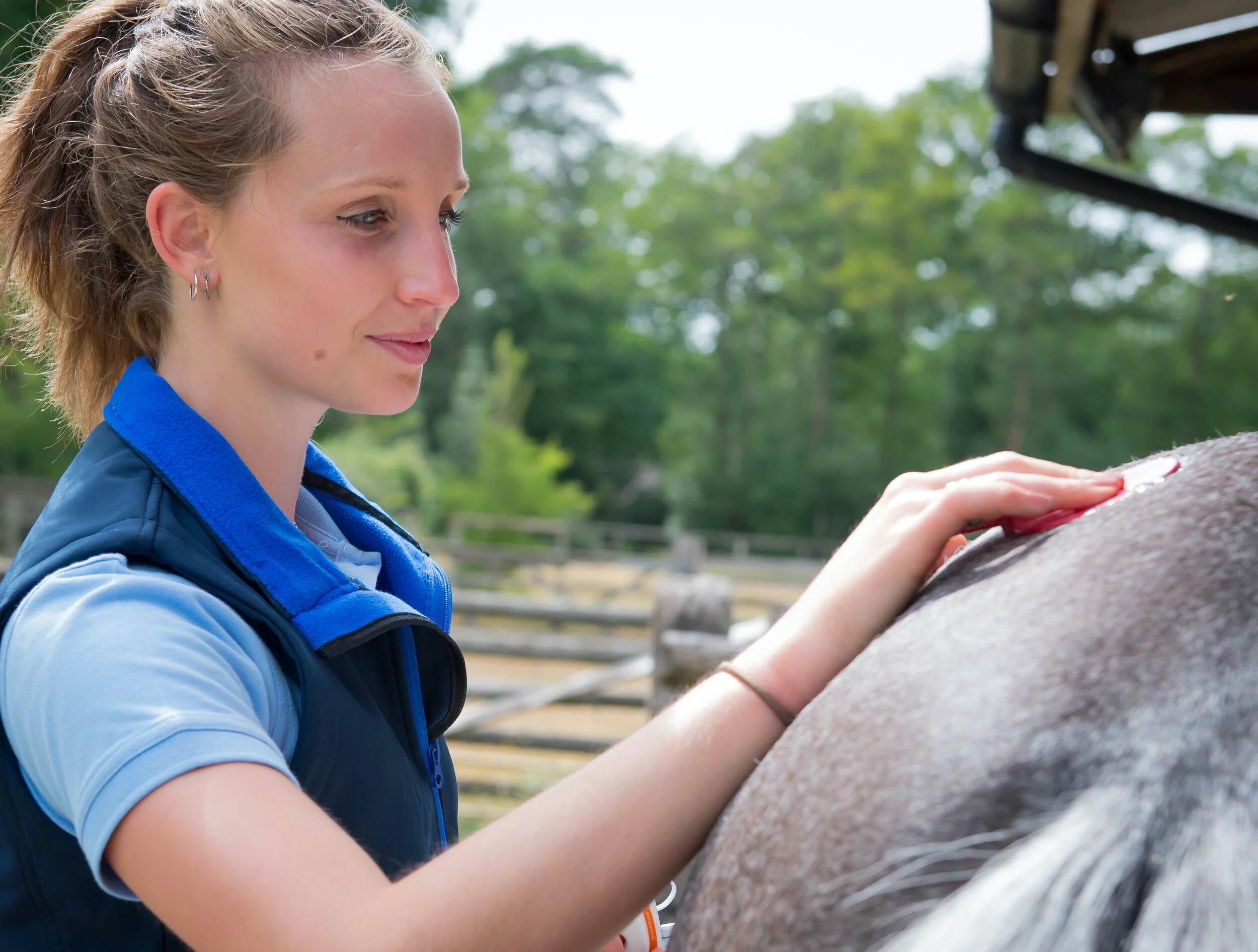 Stride Forward Physiotherapy