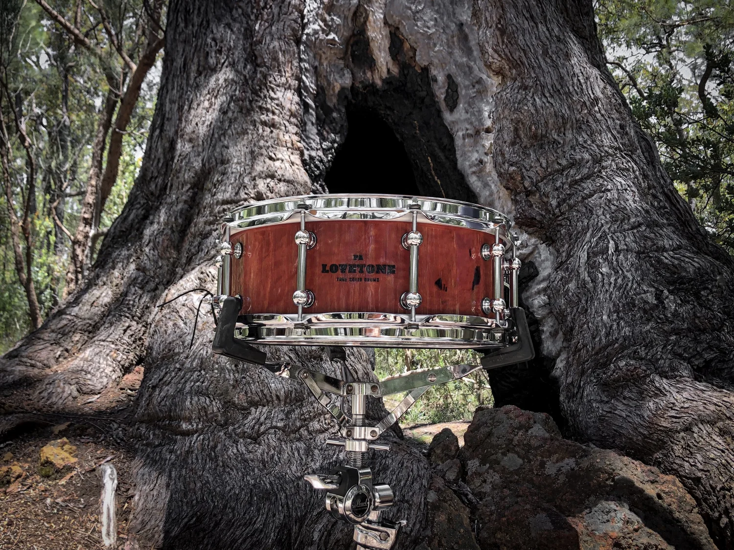 Jarrah