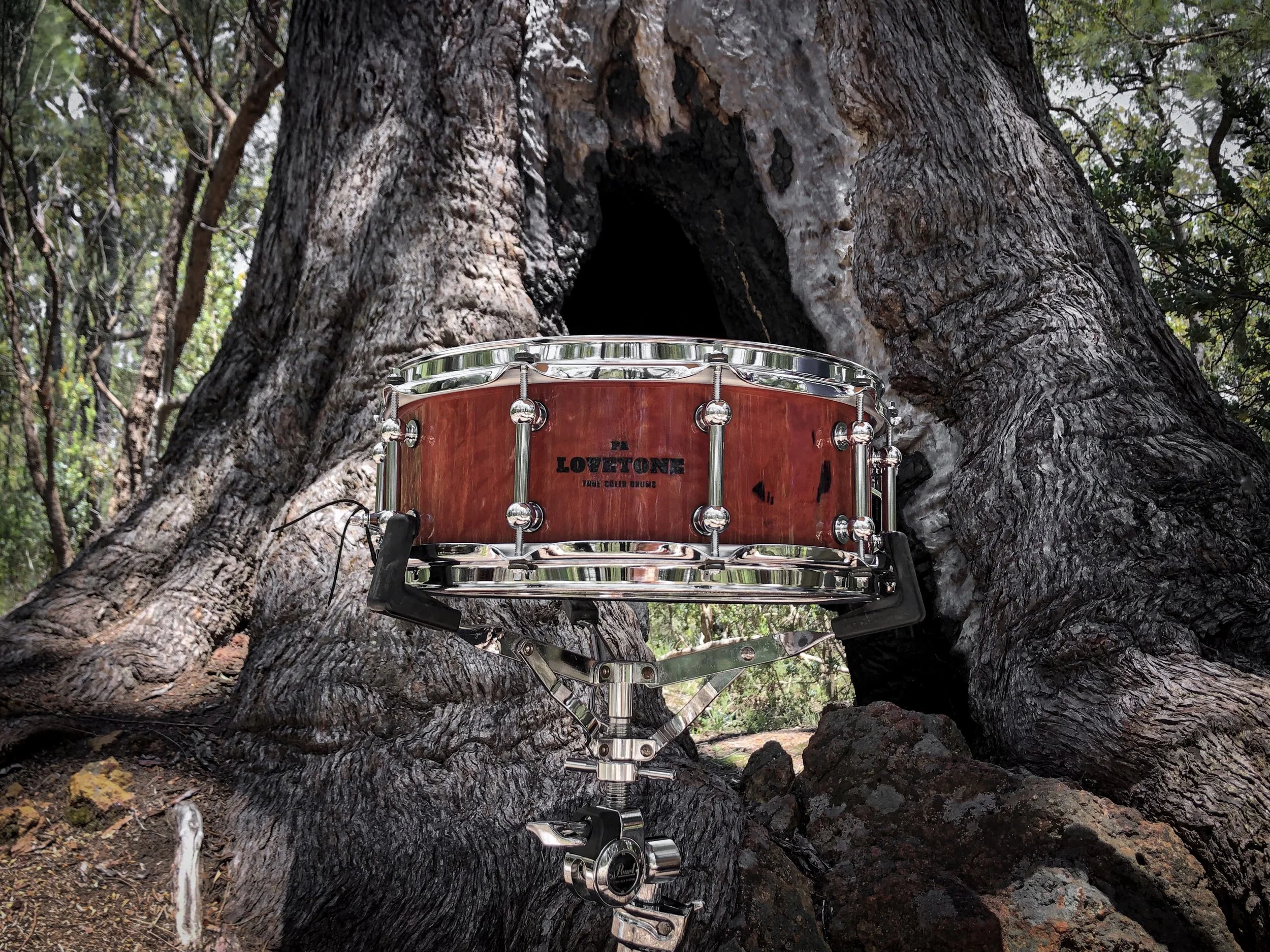 Jarrah