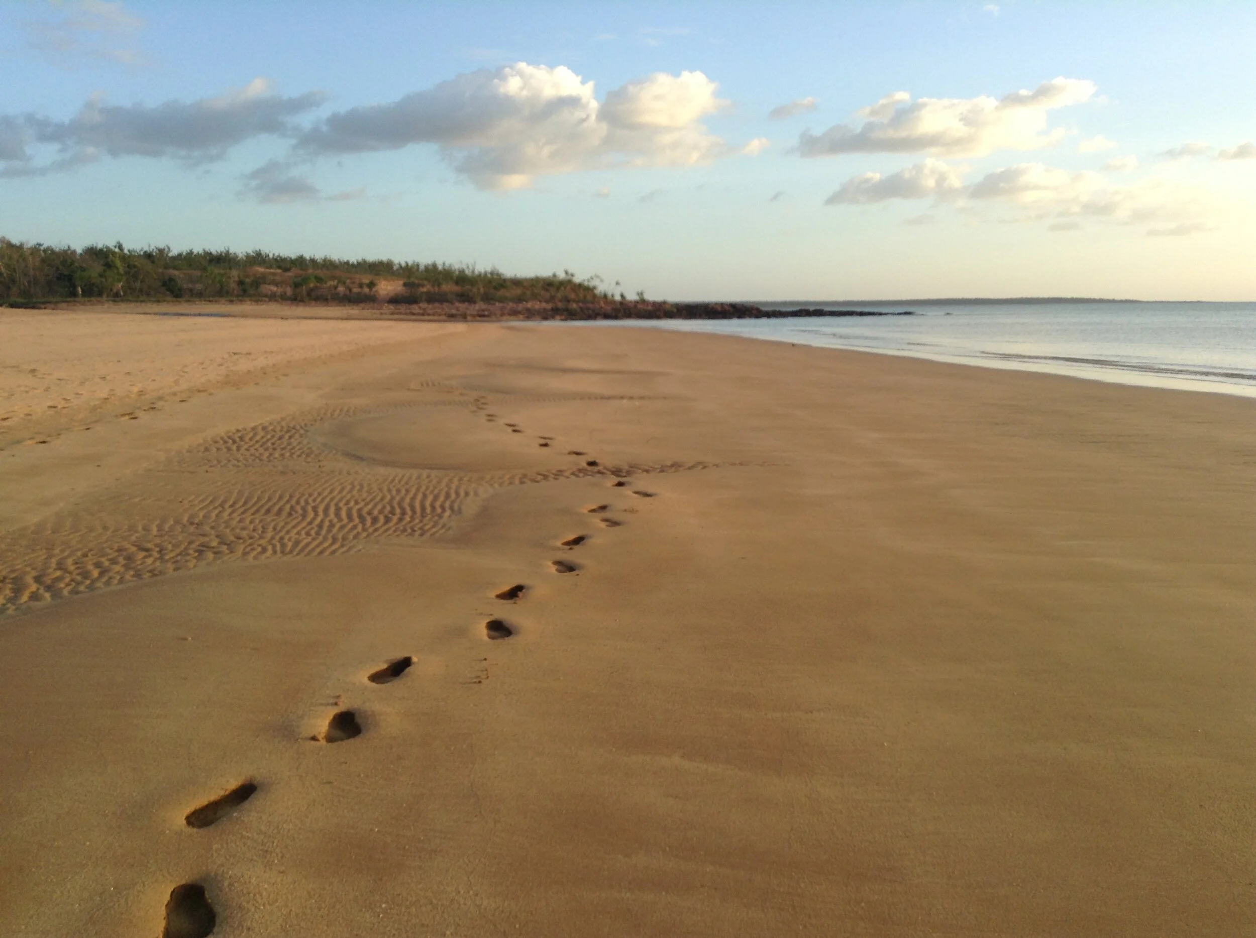 The Interplay Project