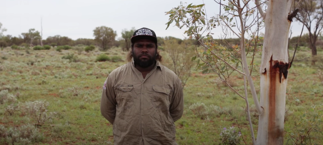 The Interplay Project