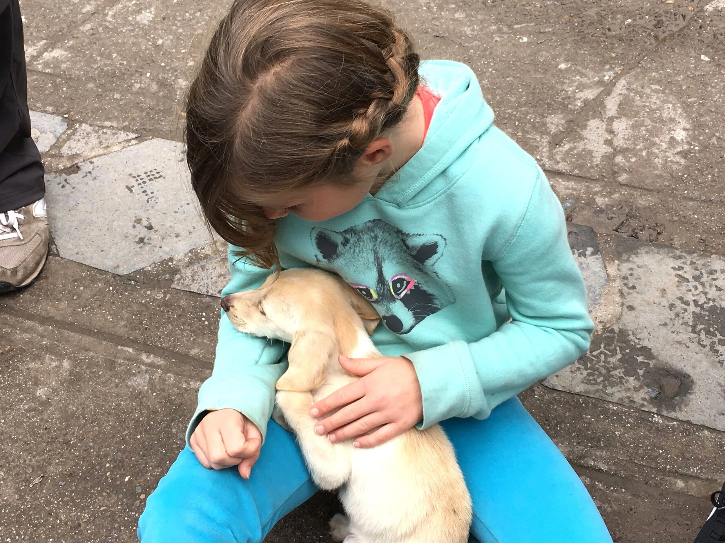 Martin Family Foundation