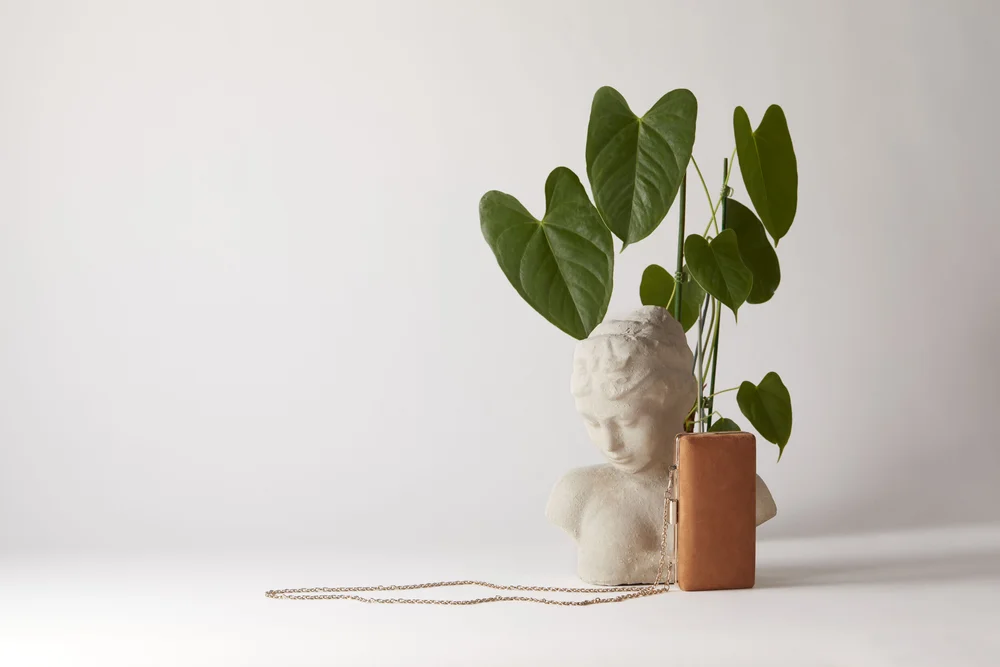 Still Life — Victoria Cook Photography