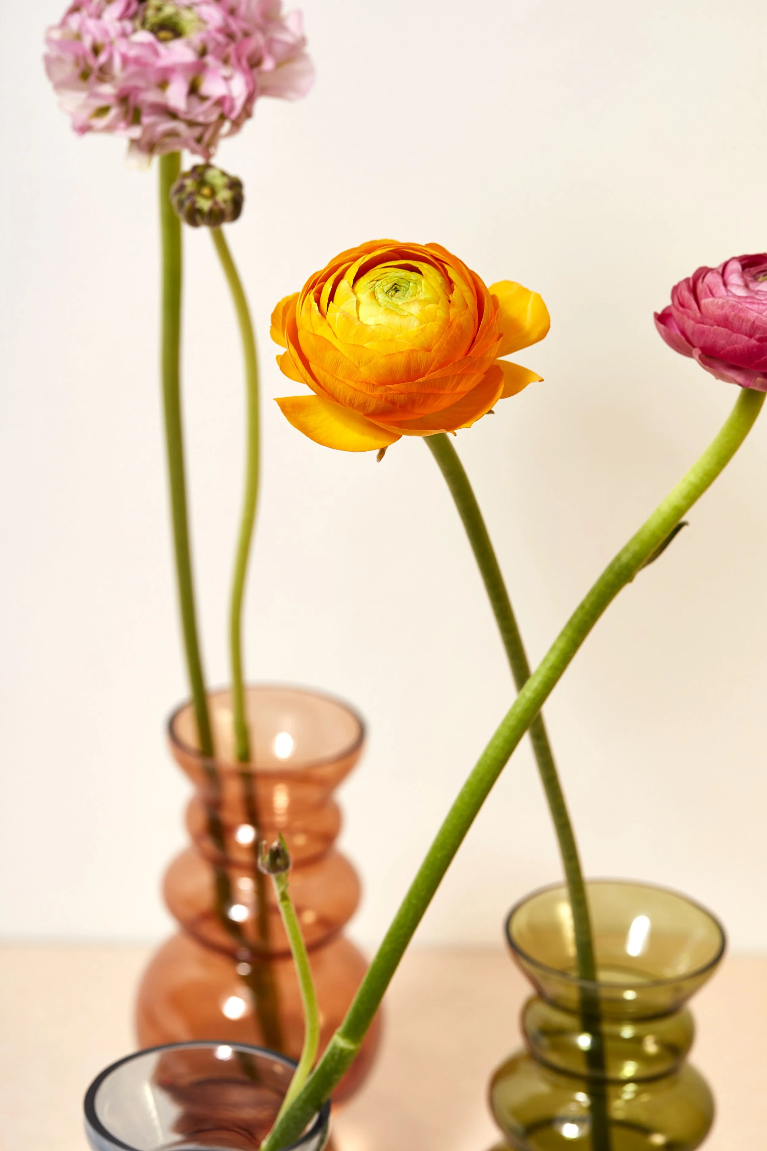 Still Life — Victoria Cook Photography