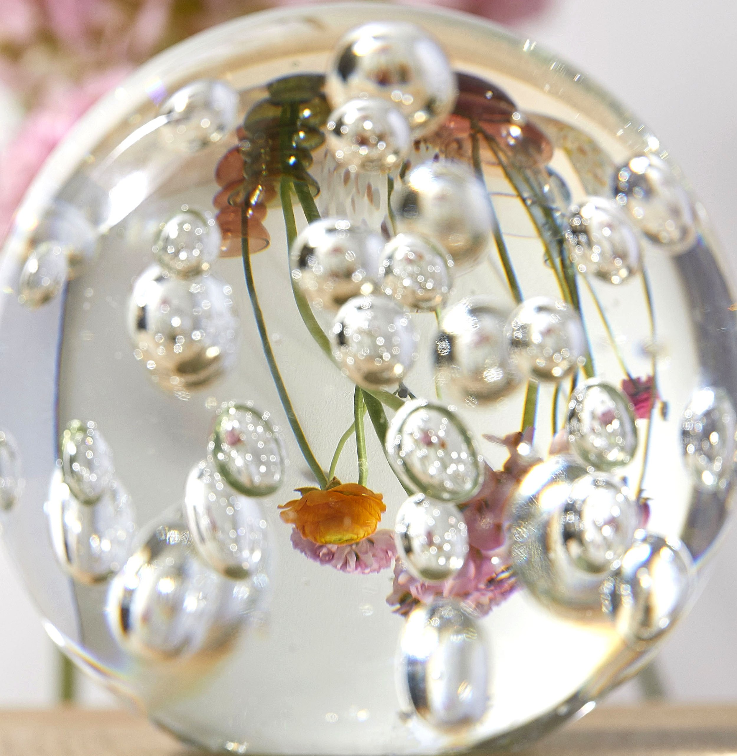 Victoria Cook Photography