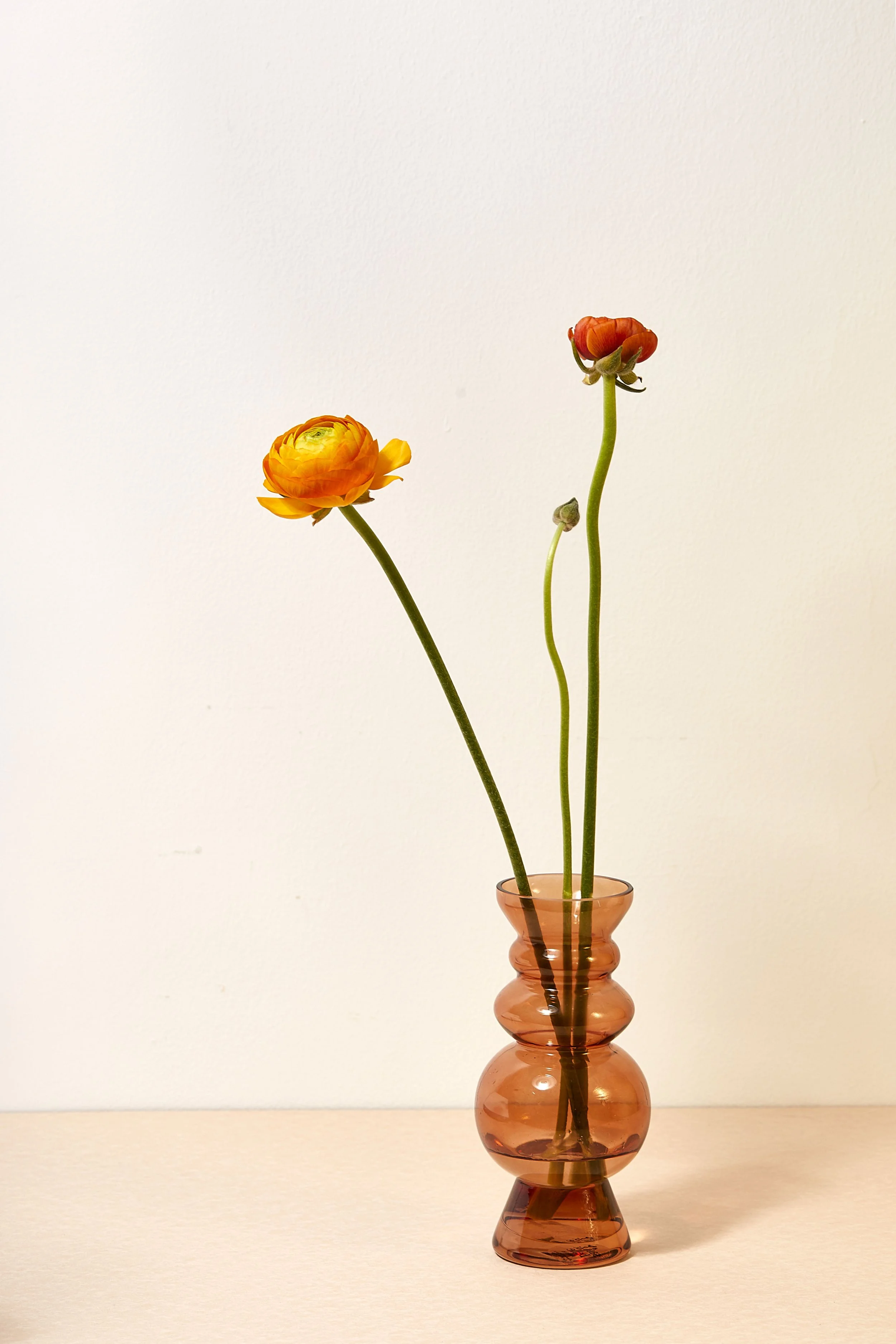 Ranunculus — Victoria Cook Photography