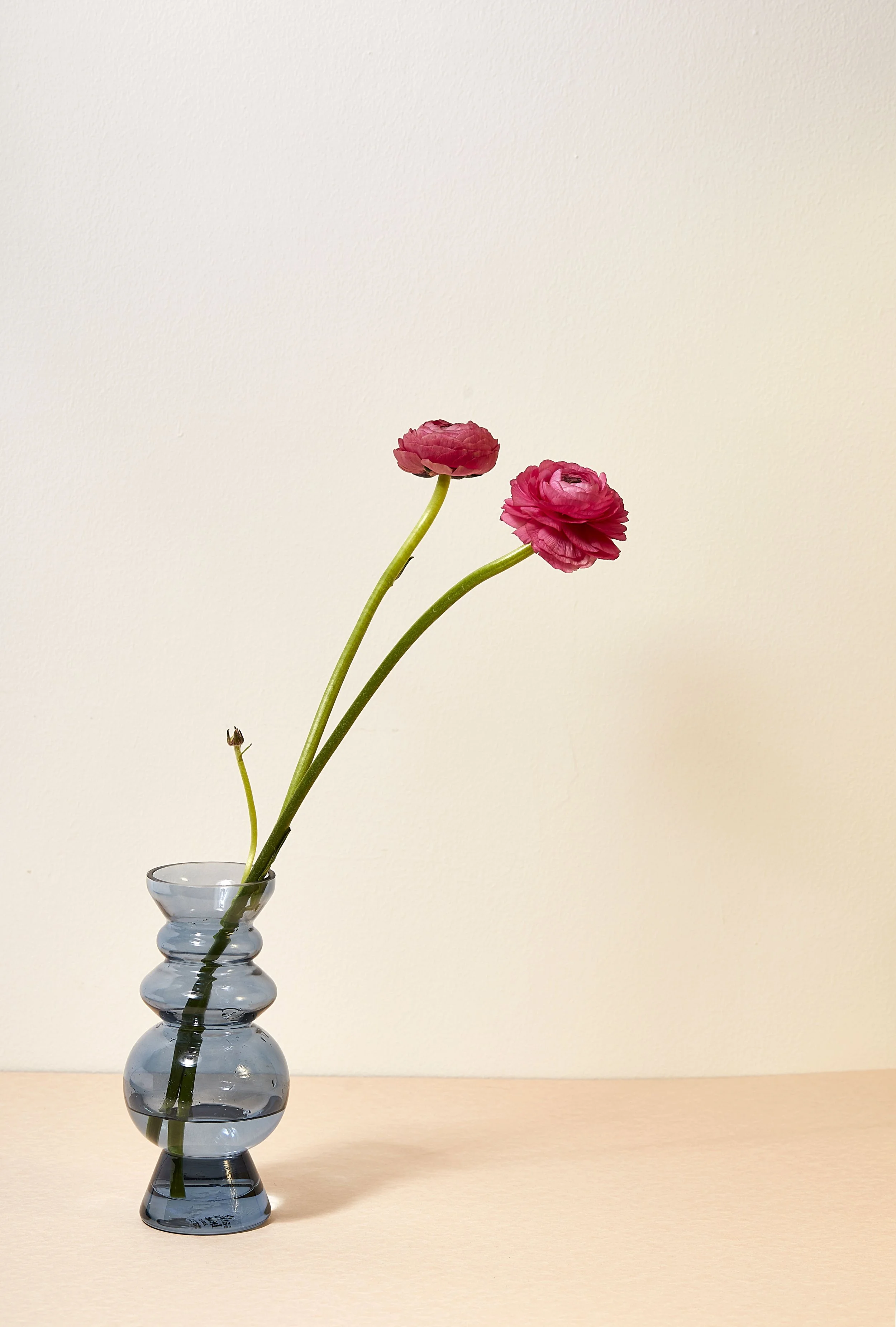Ranunculus — Victoria Cook Photography
