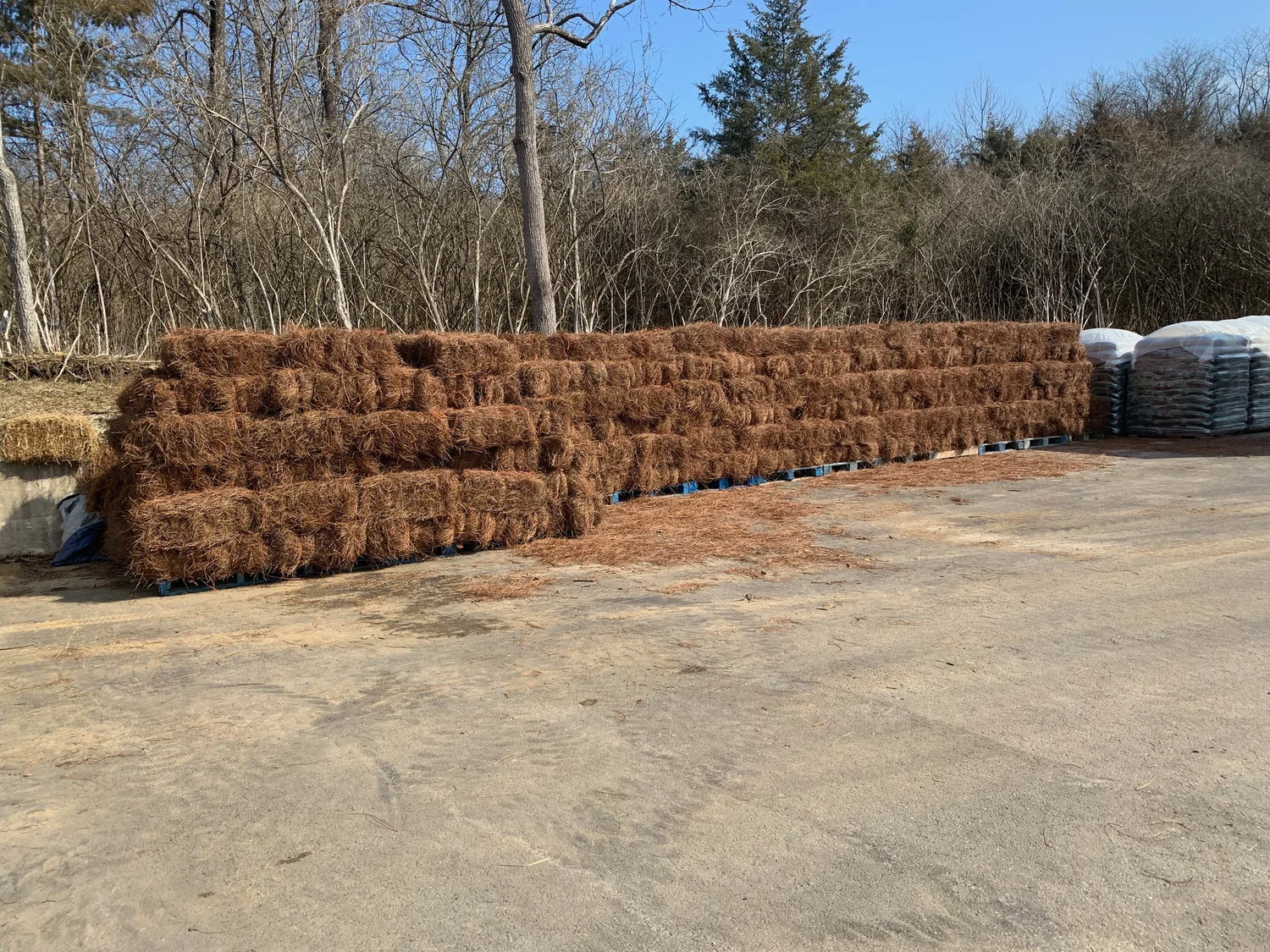 Longleaf Pine Straw Bale — TryPinestraw.com (Cincinnati Pine Mulch LLC)