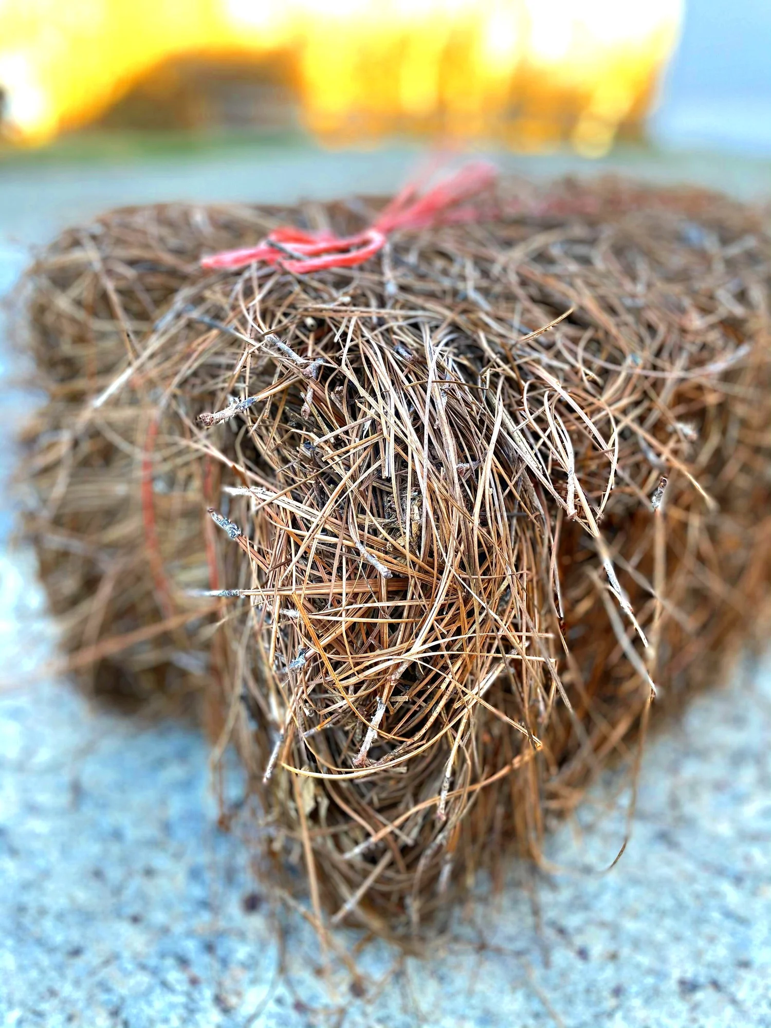Order Pine Straw — TryPinestraw.com