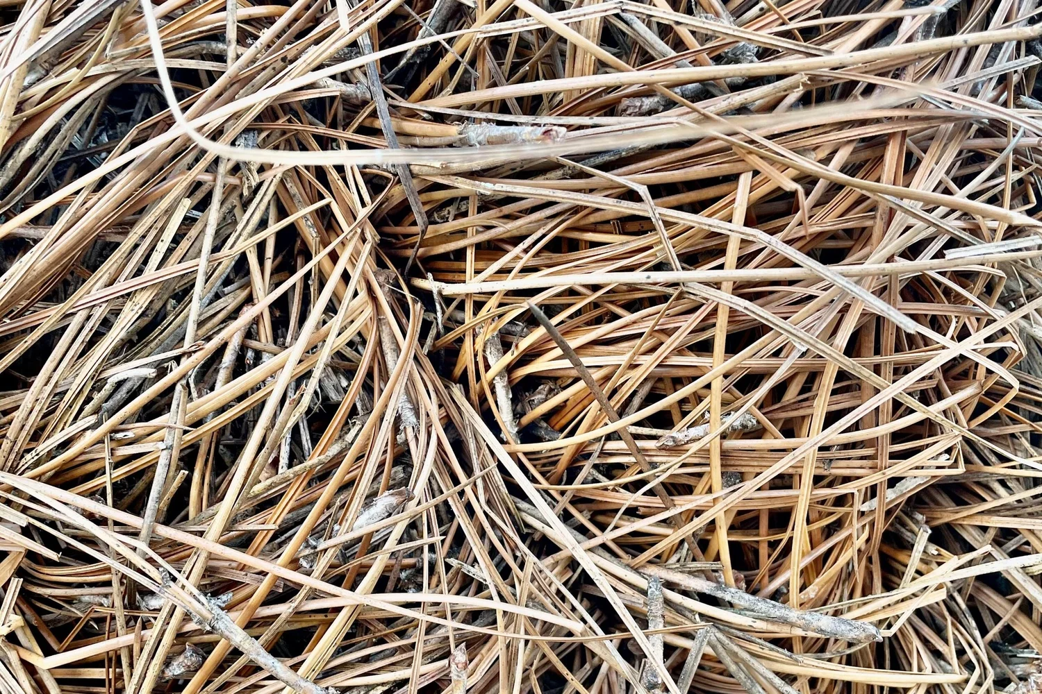 Order Pine Straw — TryPinestraw.com (Cincinnati Pine Mulch LLC)