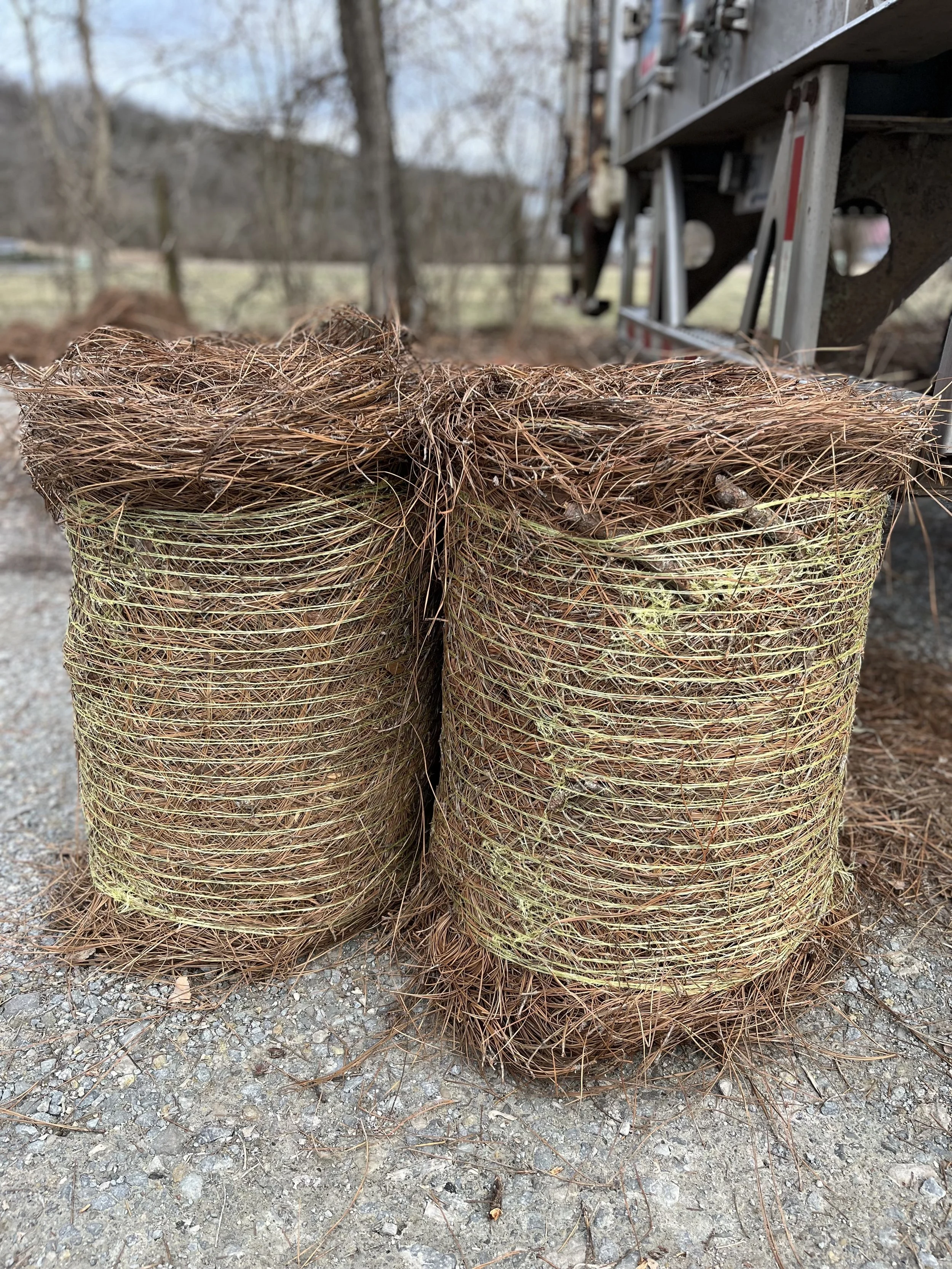 Order Pine Straw — TryPinestraw.com