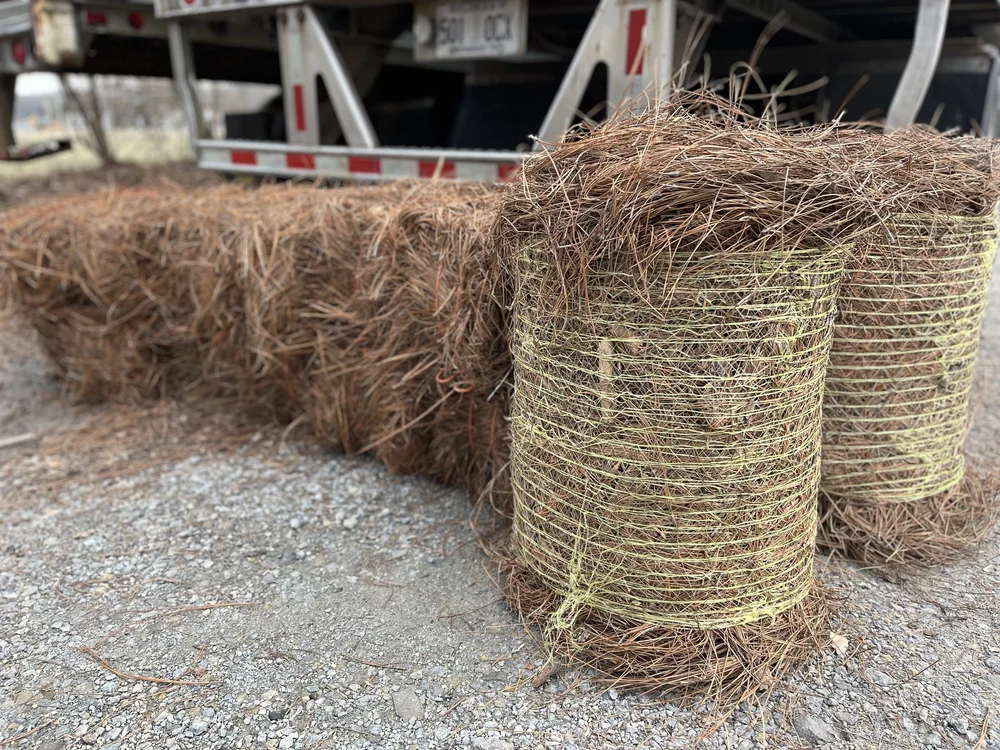 Order Pine Straw — TryPinestraw.com