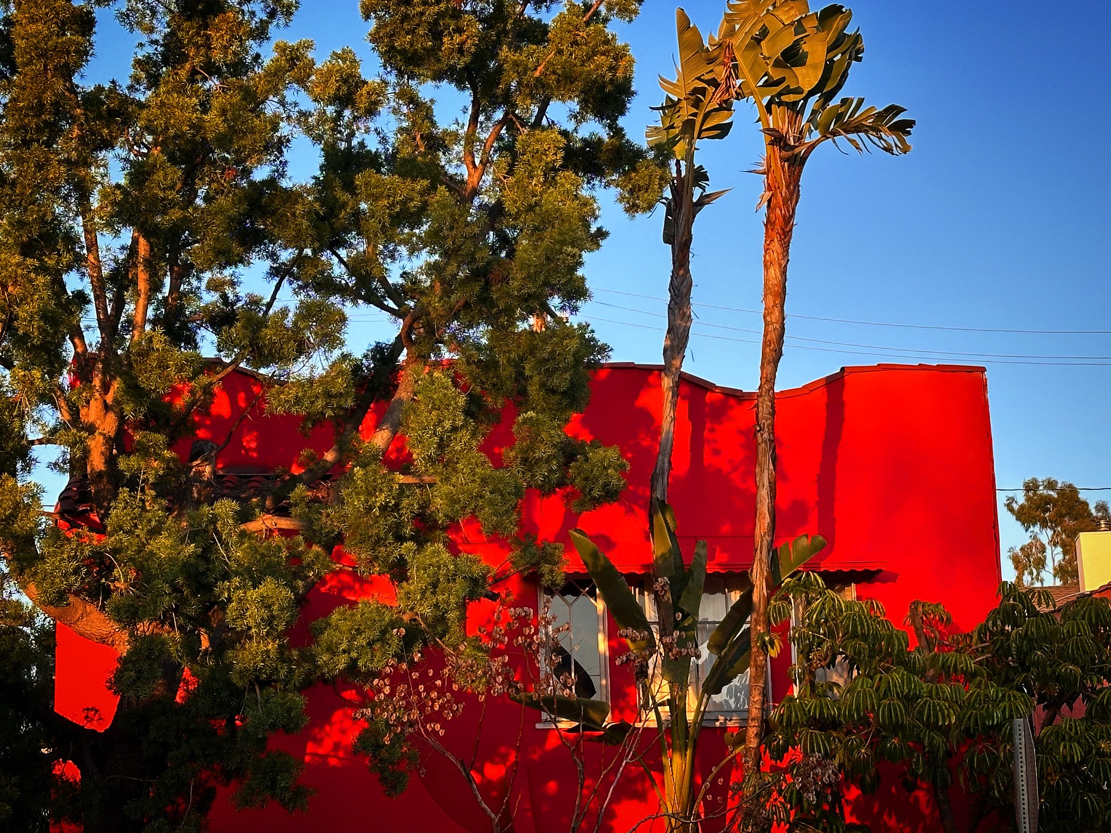 Fresh — /// Marc Karzen