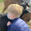 Visit — Ballydídean Farm Sanctuary