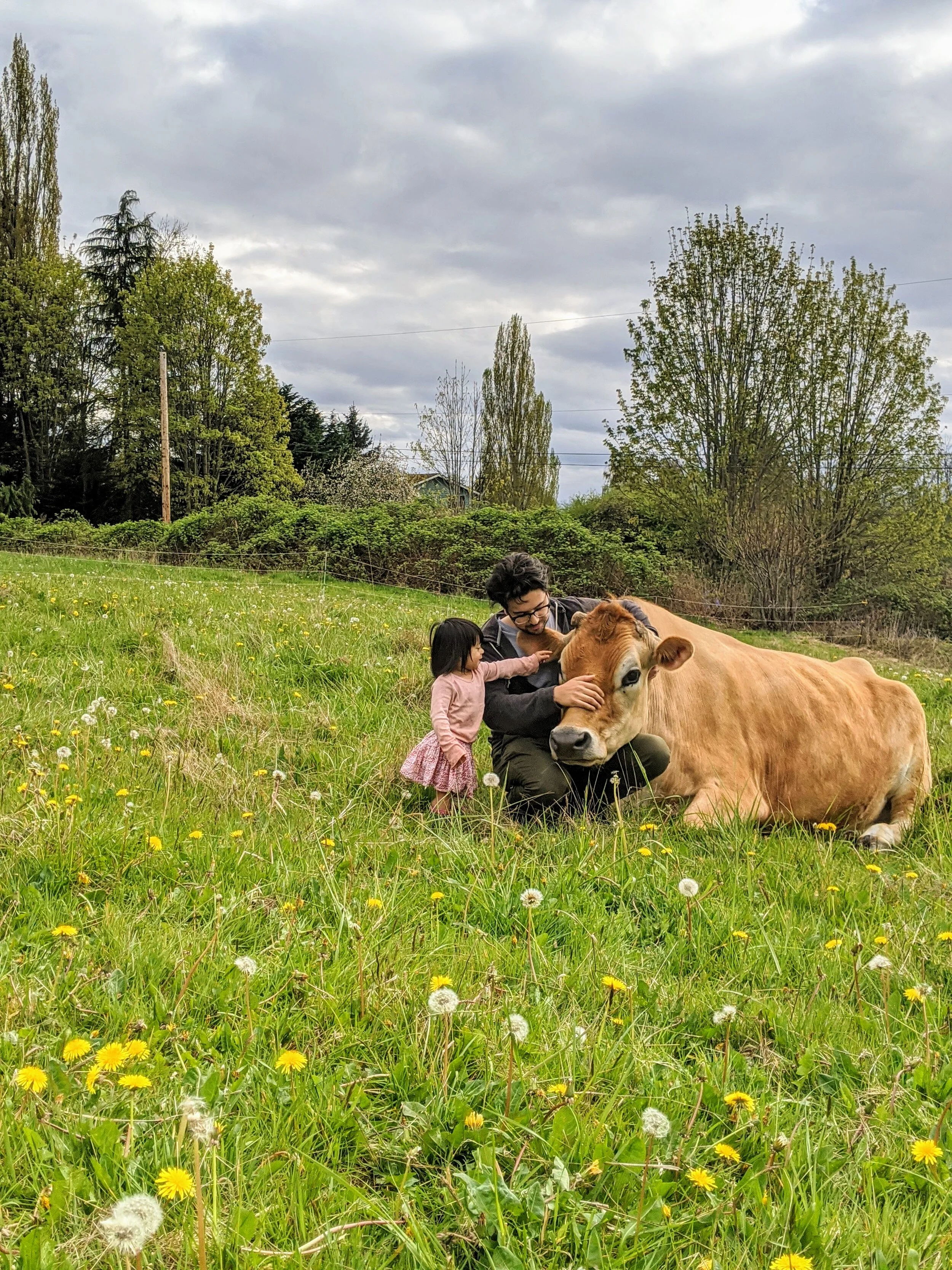 Mission — Ballydídean Farm Sanctuary