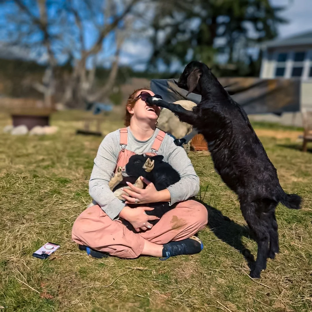 Mission — Ballydídean Farm Sanctuary