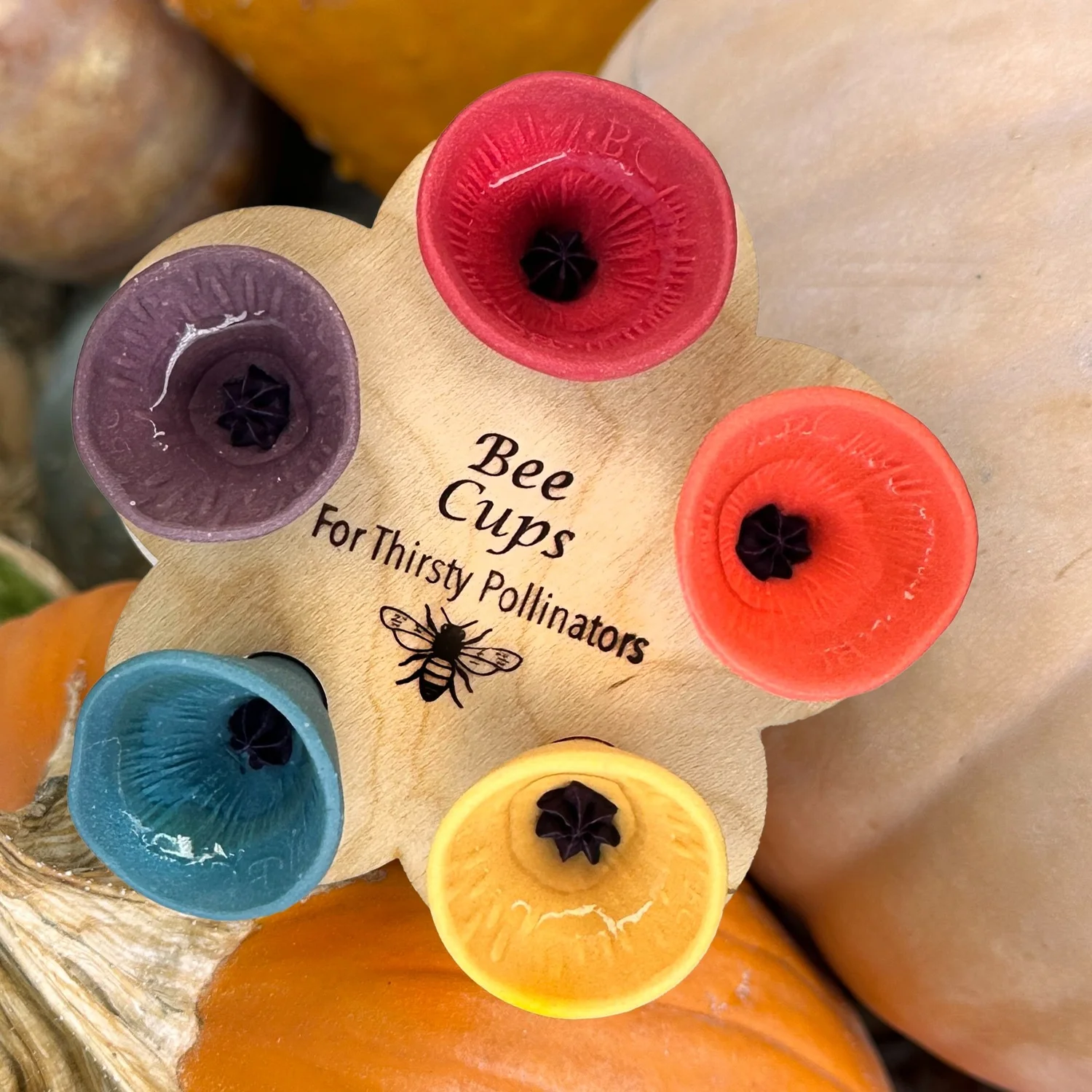 Shop Bee Cups — Bee Cups