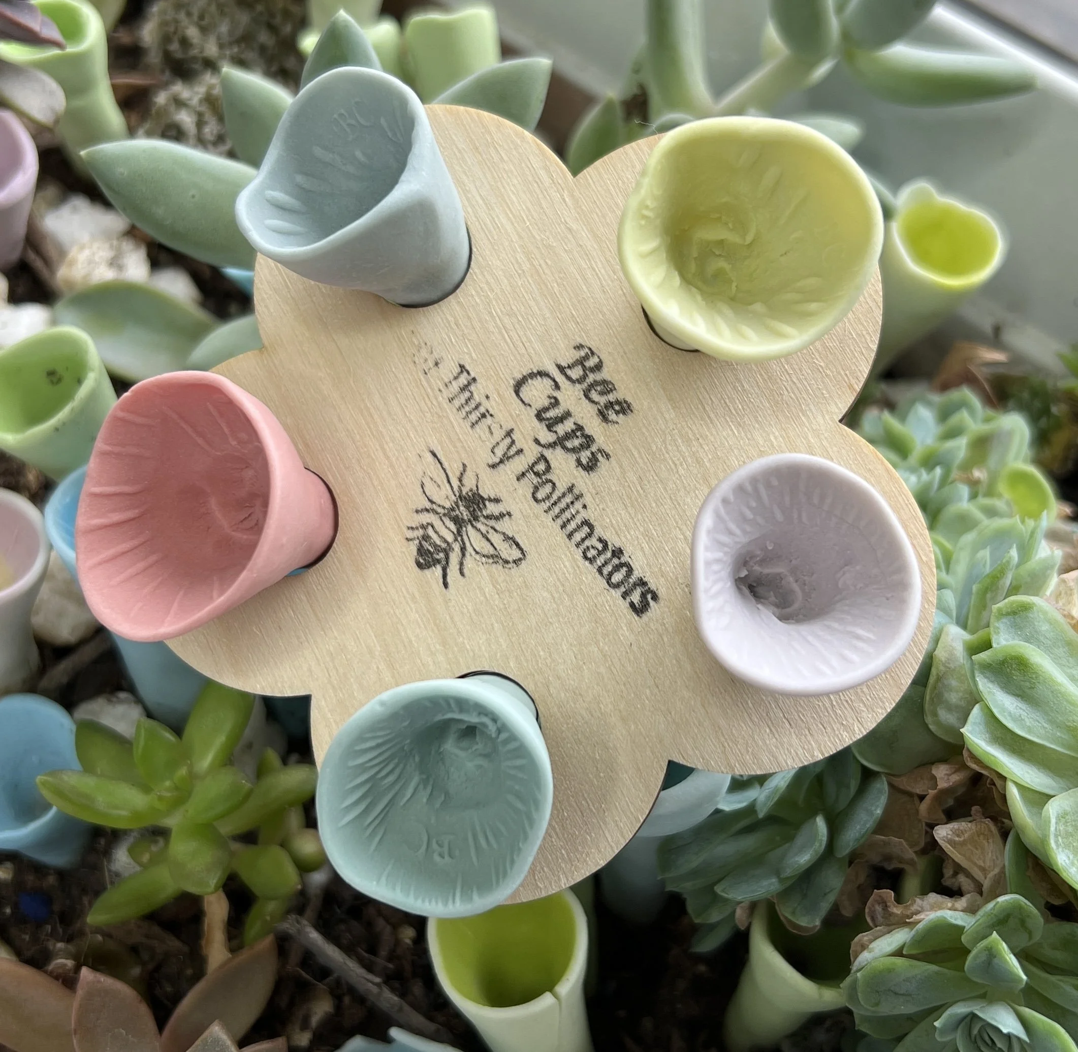 Store 2 — Bee Cups