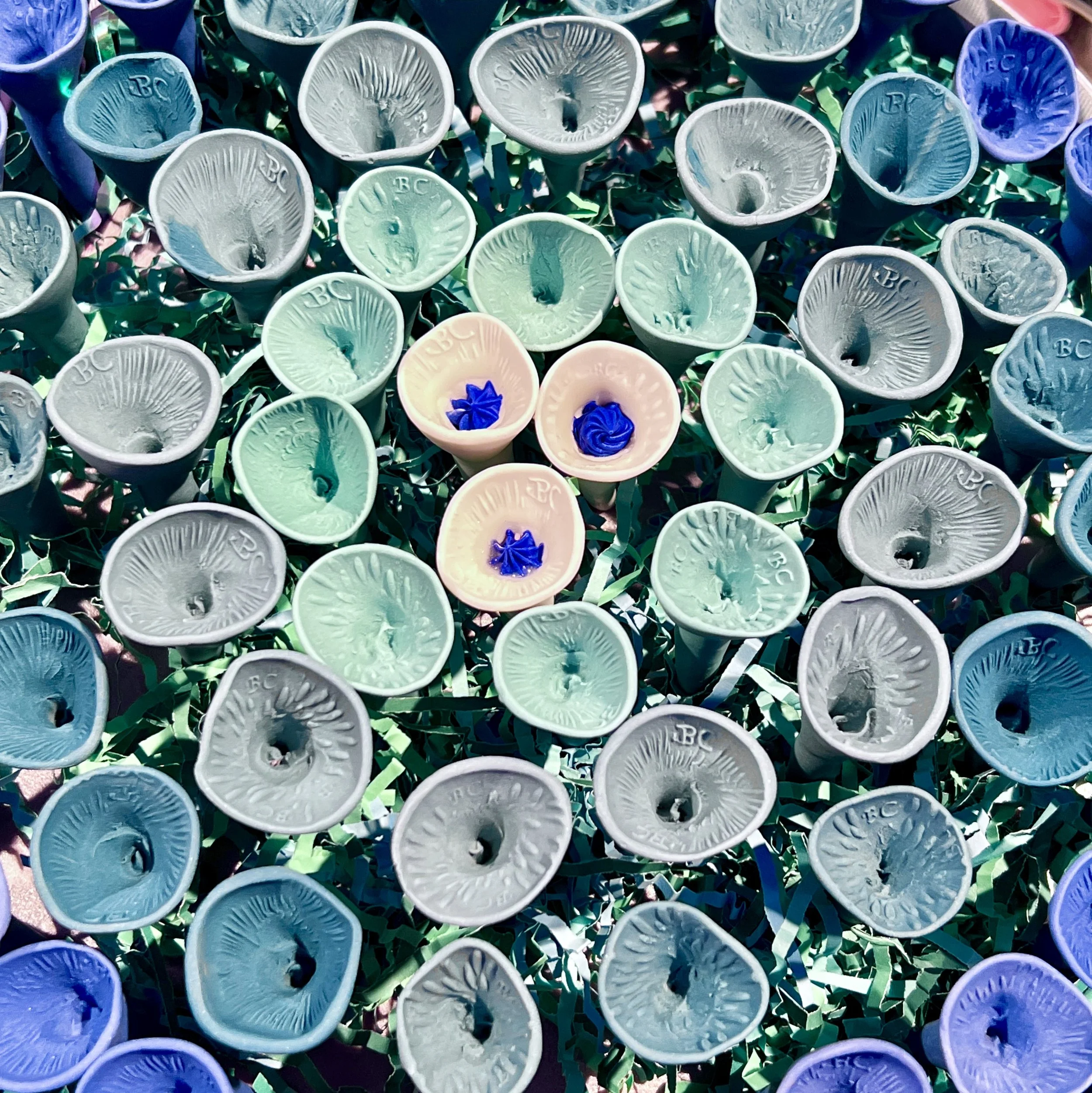 Store 2 — Bee Cups