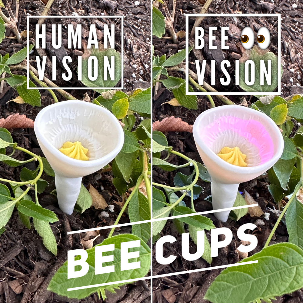 Bee Cups