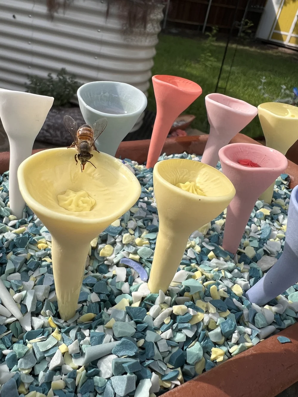 Shop Bee Cups — Bee Cups