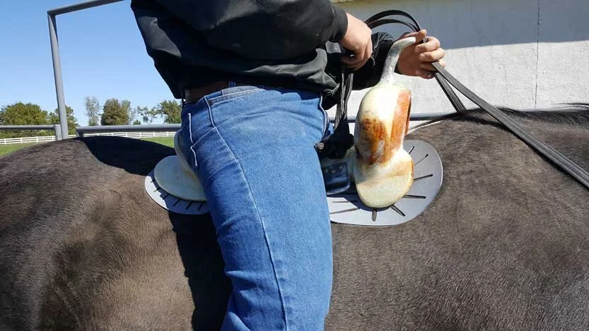 The First at Solving Saddling Problems In Horses With Unique Custom ...