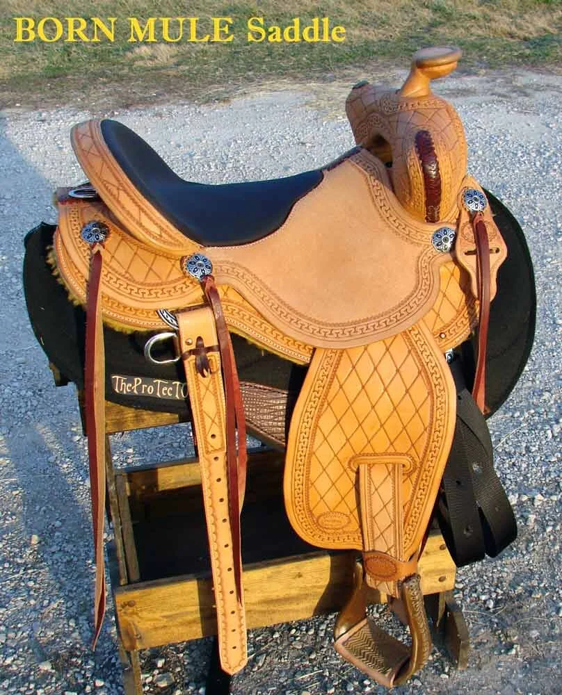 Browns Mule & Donkey Saddles | Exclusive Mule Bars — The Corrector