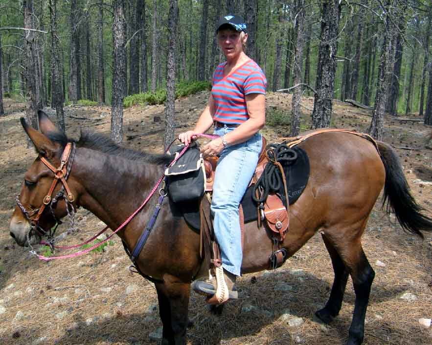 General 1 — The Corrector