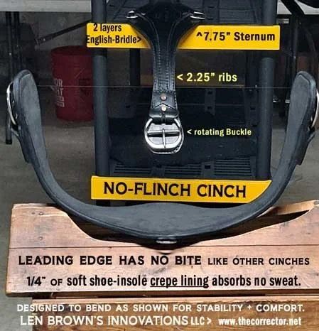 Why the Right Western Cinch Matters for Your Horse's Health — The Corrector