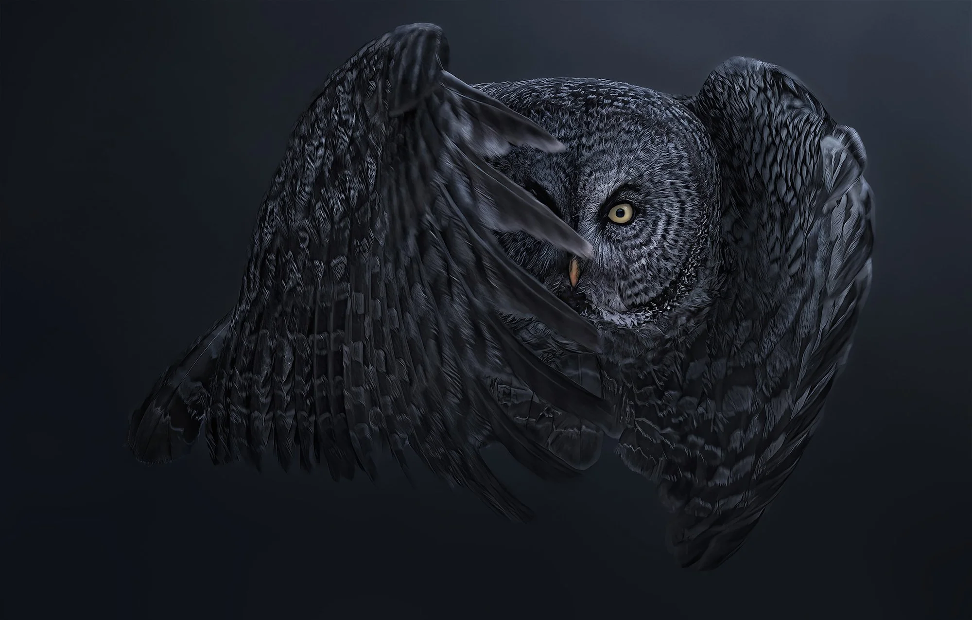 Pictures that share our deepest feelings - Jacquie Matechuk interview ...